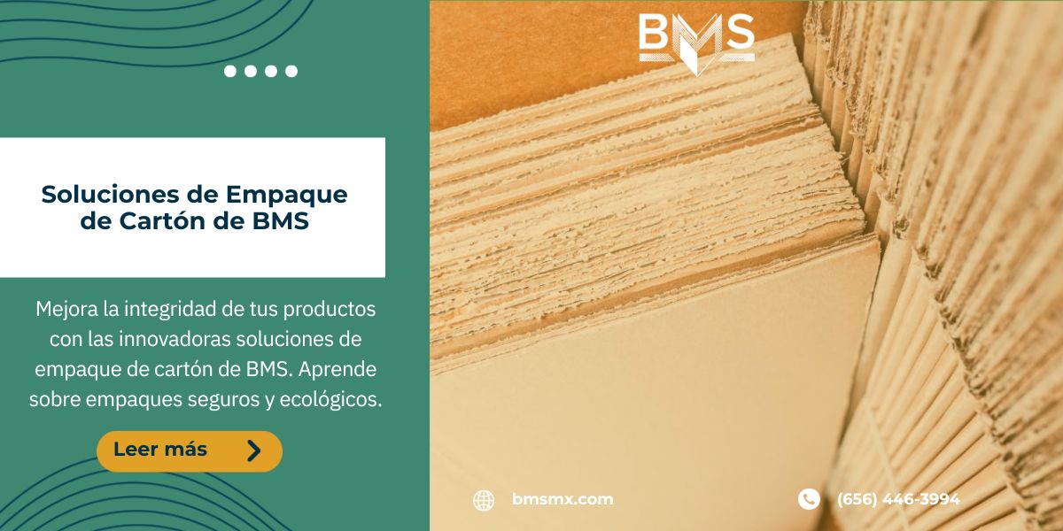 Soluciones de Empaque de Cartón de BMS - BMS